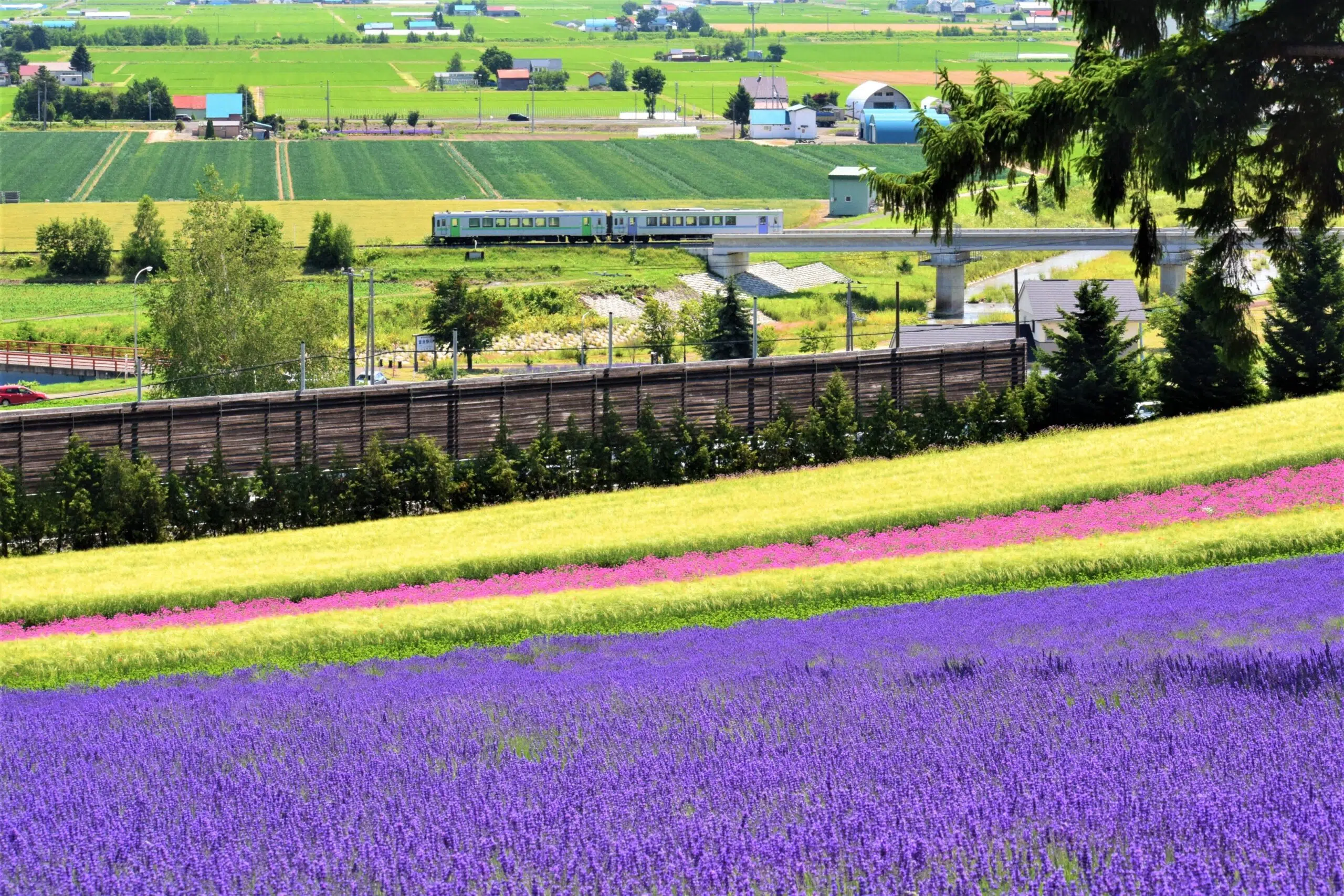 Scenic Rails: Japan’s Most Breathtaking Train Routes | Japan Nakama